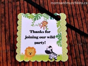 Safari Theme Parties for Kids - Moms & Munchkins