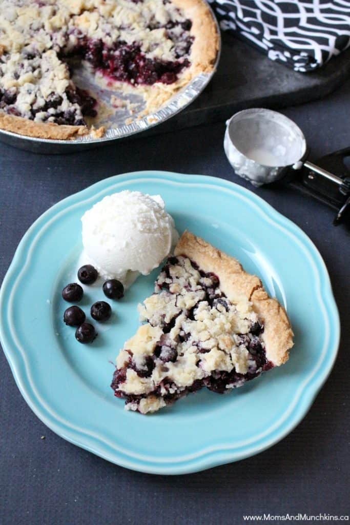Saskatoon Berry Pie (Easy Recipe) - Moms & Munchkins