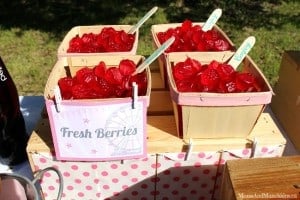 County Fair Party Ideas - Moms & Munchkins