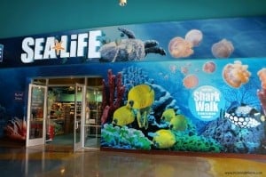 SEA LIFE Grapevine Aquarium - Family Travel Tips