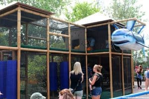 Calgary Family Attractions - Moms & Munchkins