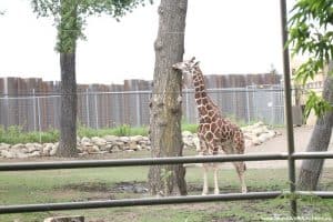 Calgary Family Attractions - Moms & Munchkins