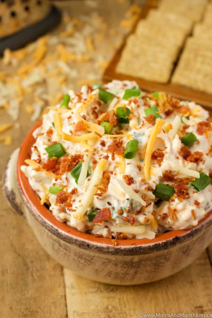 Cheddar Bacon Ranch Dip Recipe - Moms & Munchkins